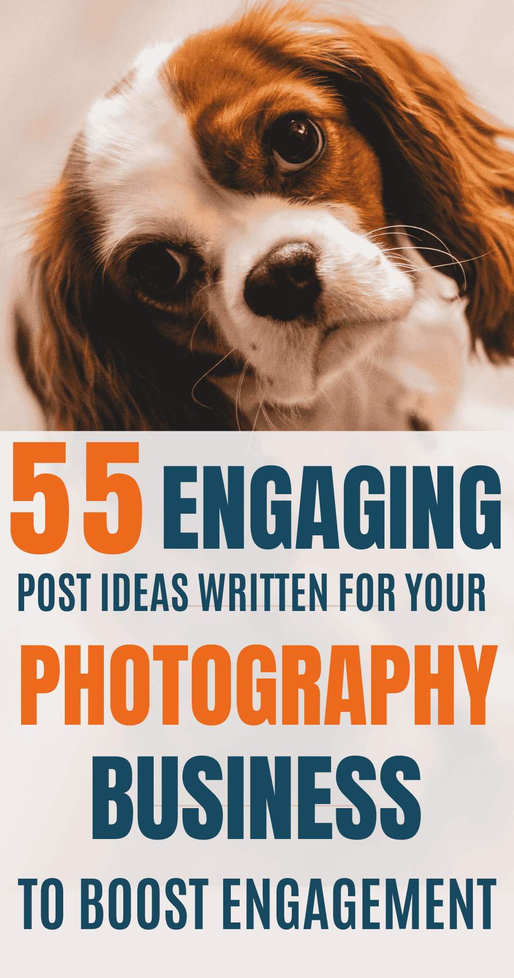 55 Engaging Post Ideas For Photographers. - Photography Biz Success